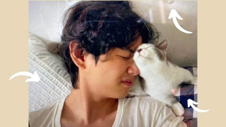 BTSテテ＆ジェニ｜ハッカーアカウント特定で熱愛は本当！今度はジェニー自宅ベッド写真 | NTS STAGE